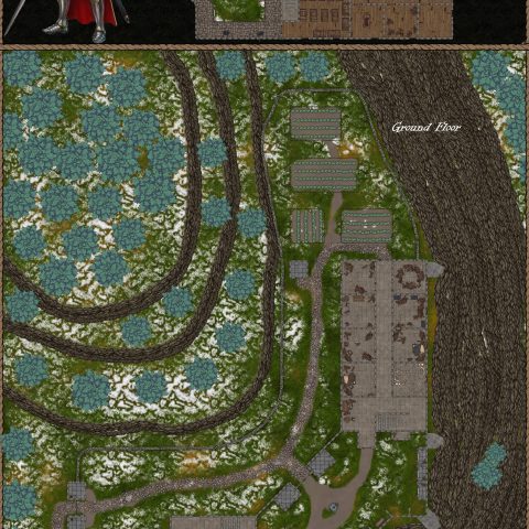 Death House: Curse of Strahd Battle Map | 30 x 43 – CartographyAssets