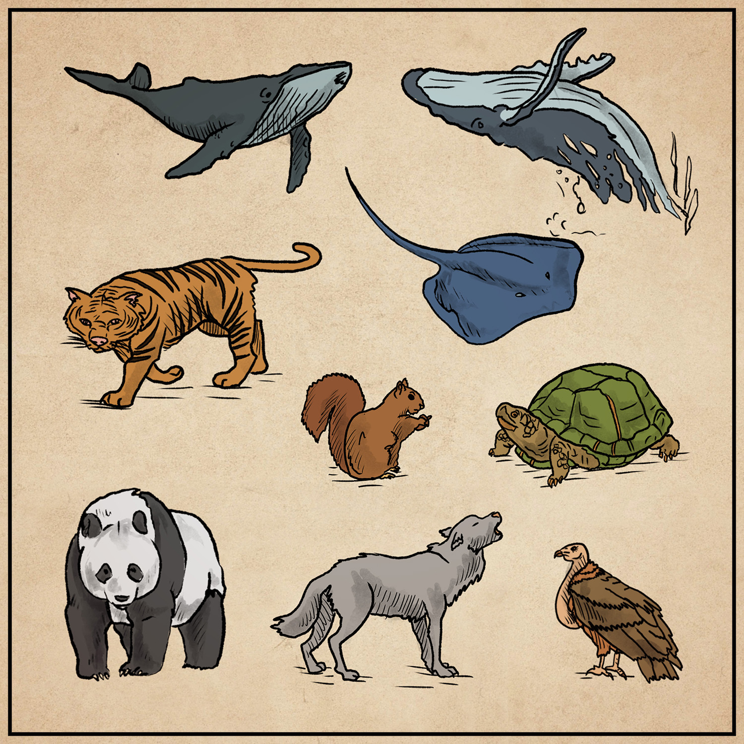 Nature - CartographyAssets