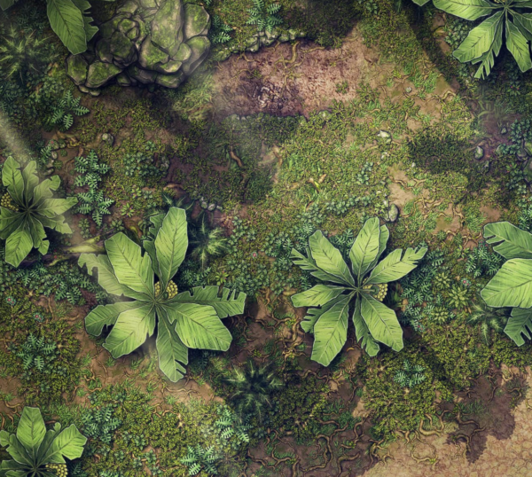 Big Jungle Map - CartographyAssets